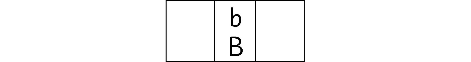 Thrass - THRASSAfrica: Teaching Handwriting, Reading & Spelling Skills